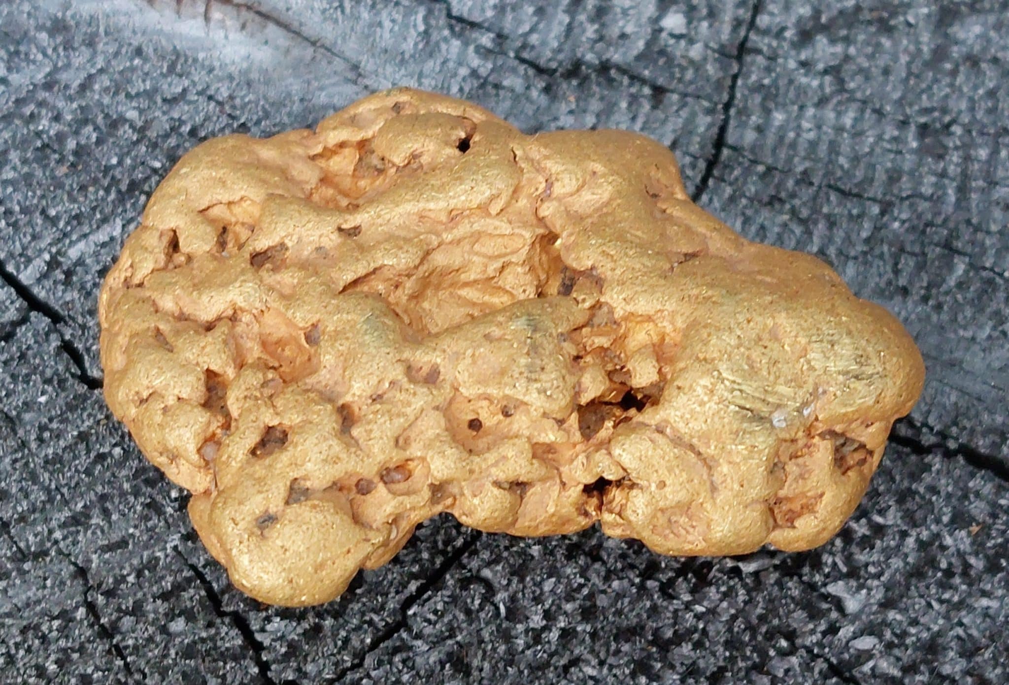 Kesän 2022 suurin kultahippu 61.5 g Sotajoki - Hippukulta